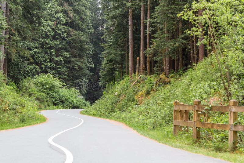 Leaf Line Divider Stock Photos - Free & Royalty-Free Stock Photos from ...