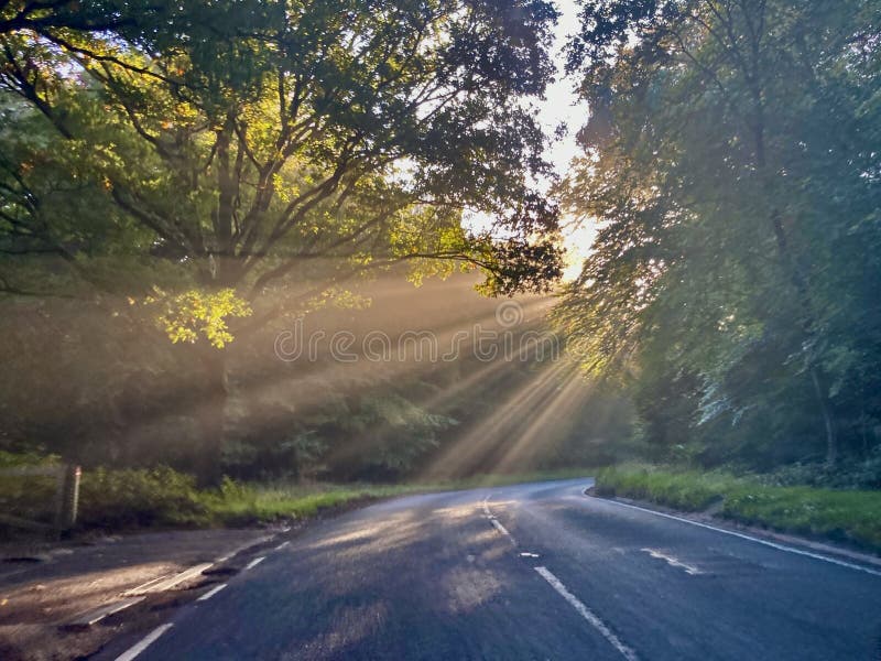 Forest Road Sun Beams and Rays Stock Image - Image of rays, lighting ...