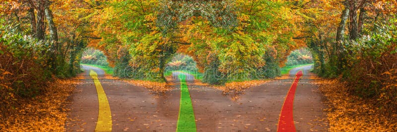 Forest Road with Three Different Ways Stock Image - Image of ...