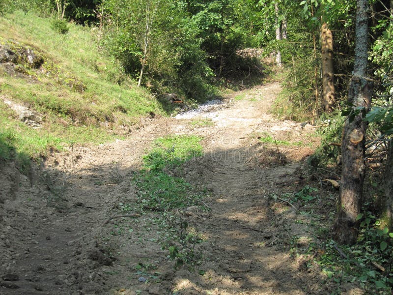 A Forest Road for Transportation or Mobility Stock Photo - Image of ...