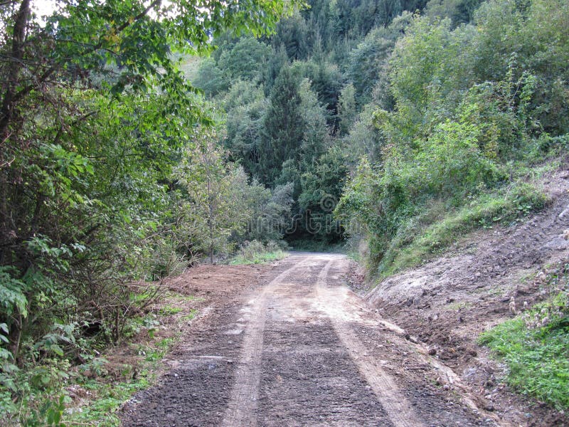 A Forest Road for Transportation or Mobility Stock Photo - Image of ...