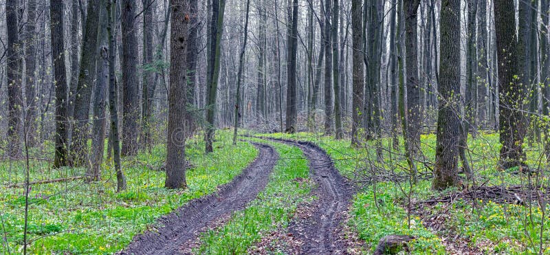 Early Spring. Spring Landscape with Trees by the River and Picturesque ...