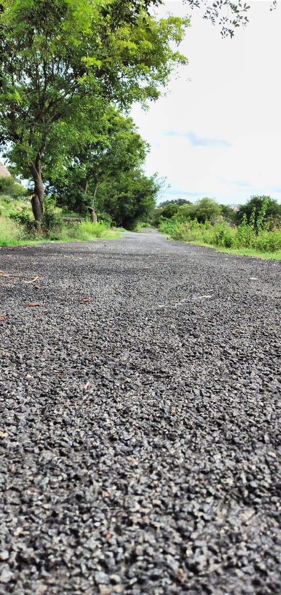 Forest Road view pictures stock photo. Image of sidewalk - 229085248