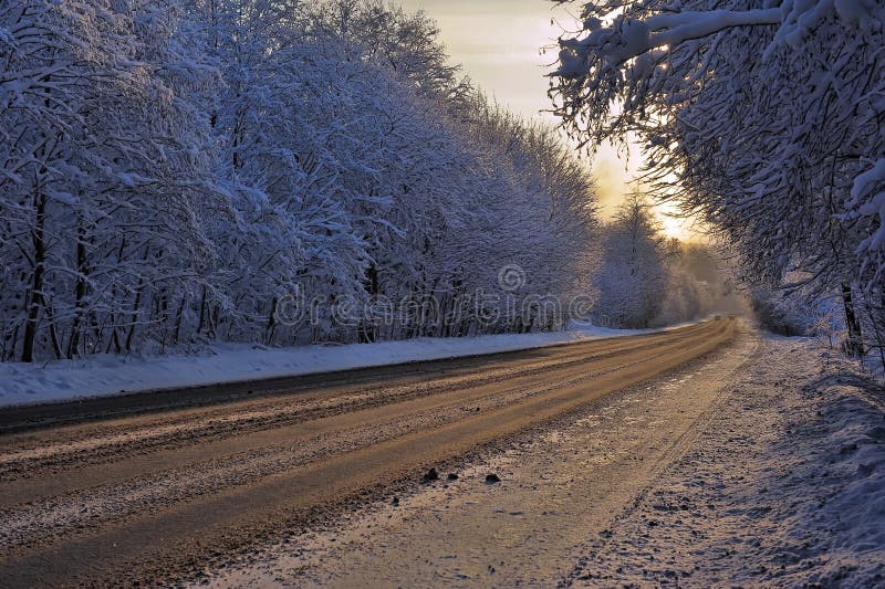 Winter Scene of Snow Covered Road and Trees Stock Image - Image of ...