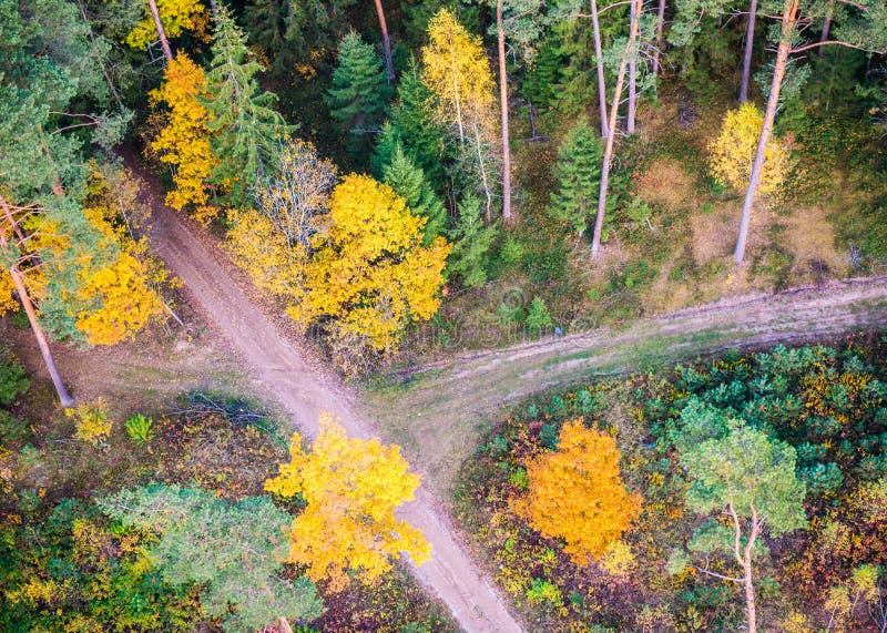 Forest roads stock image. Image of dense, beauty, orange - 52066841