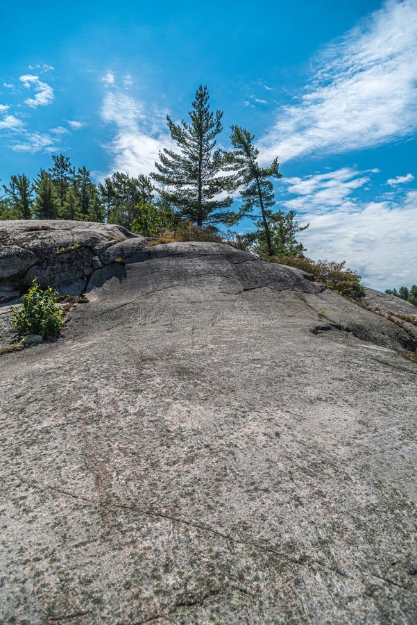 Forest on the rock stock photo. Image of scenery, park - 228532012