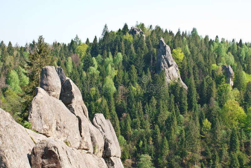 Forest and rock stock image. Image of peak, forest, rock - 37660349
