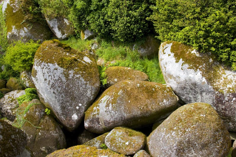 Forest with rocks stock image. Image of brittany, legand - 9633493