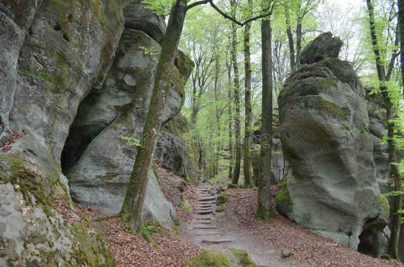 Forest and rocks labyrinth stock photo. Image of luxembourg - 40185968