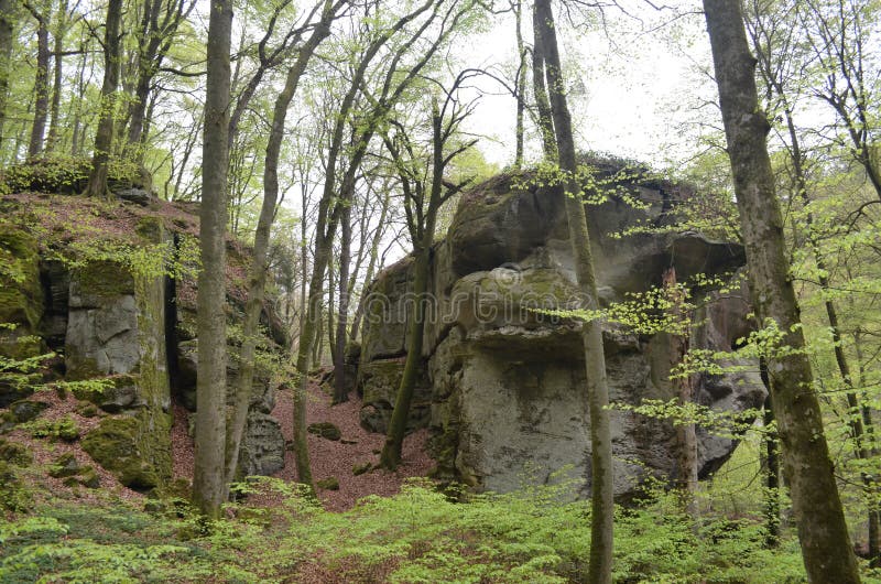 Forest and rocks labyrinth stock photo. Image of rocks - 40186004