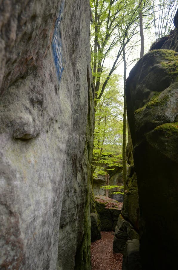 Forest and rocks labyrinth stock image. Image of labyrinth - 40186059