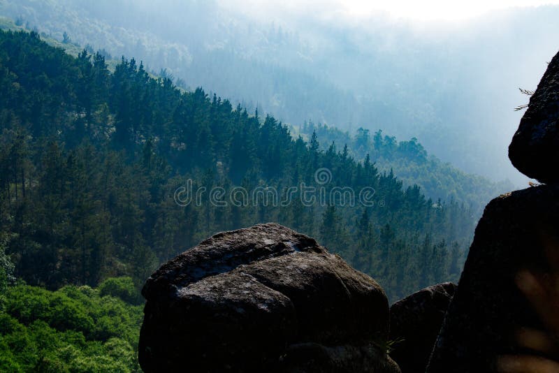 Forest with rocks and mist stock image. Image of beach - 188676335