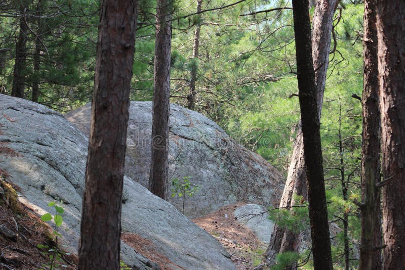 Forest rocks stock image. Image of forest, rocks, ontario - 89774565