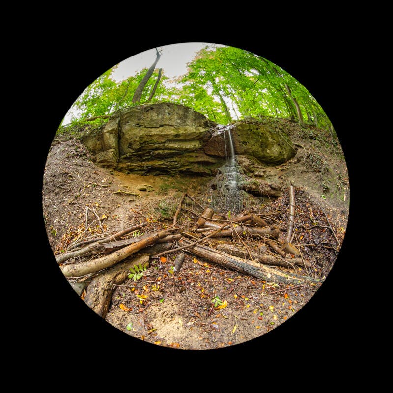 Forest Rocks Trunks Waterfall As Fish Eye Shot Stock Photo - Image of ...