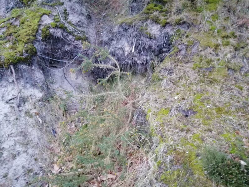 Erasion Stock Photos - Free & Royalty-Free Stock Photos from Dreamstime