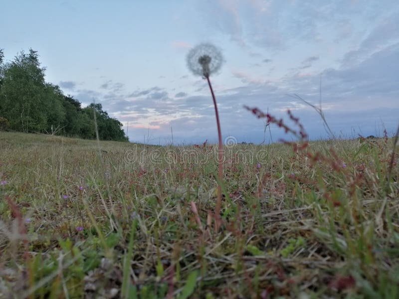 Erasion Stock Photos - Free & Royalty-Free Stock Photos from Dreamstime