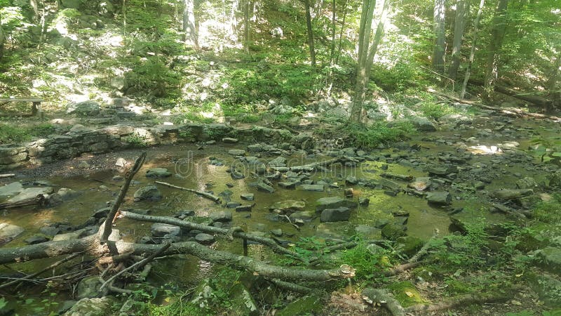 Forest 33 stock image. Image of nature, rocks, trees - 76927203