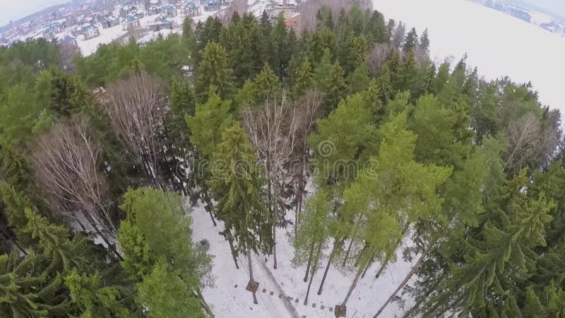 Forest with Rope Bridges on Trees at Winter Day. Stock Footage - Video ...