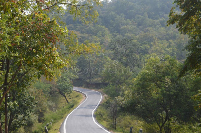 Forest route in karnataka stock photo. Image of fisher - 83410950