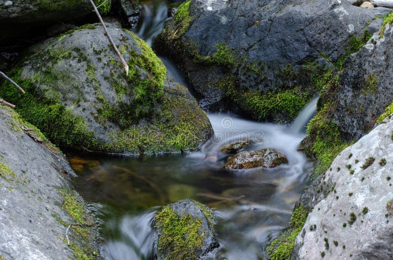 Stream and Stones. Forest River Stock Photo - Image of forest ...