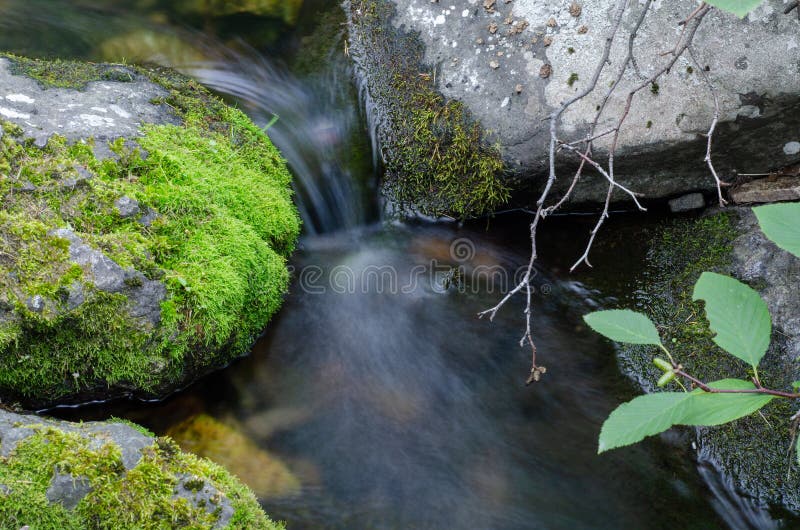 Stream and Stones. Forest River Stock Photo - Image of forest ...