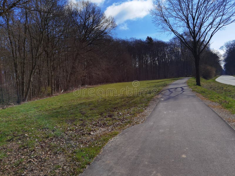 Forest Saving Walk in Spring Stock Image - Image of hill, woodland ...