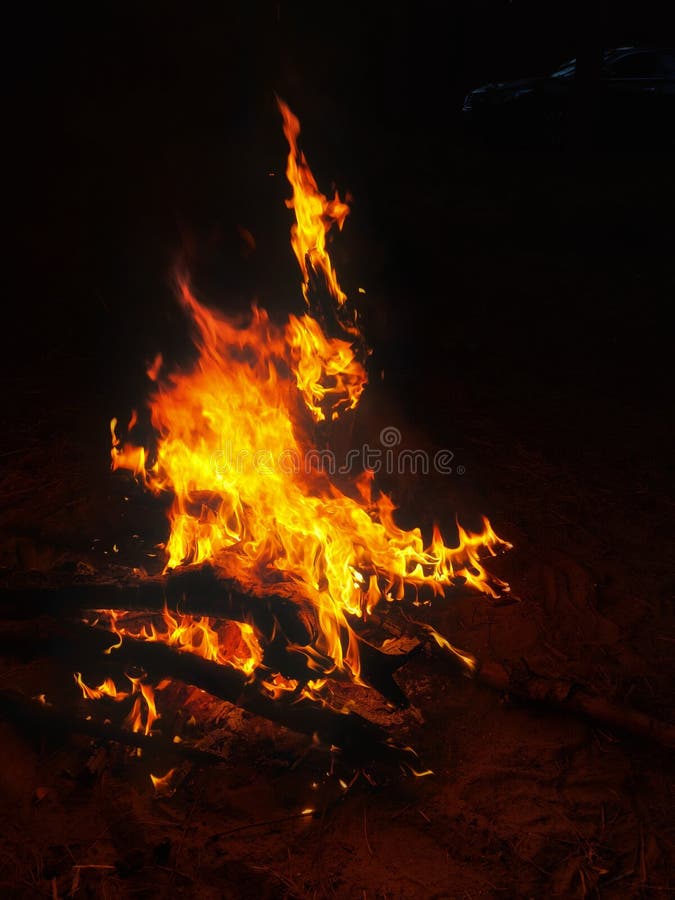 Forest scorching flame stock image. Image of font, campfire - 258527635