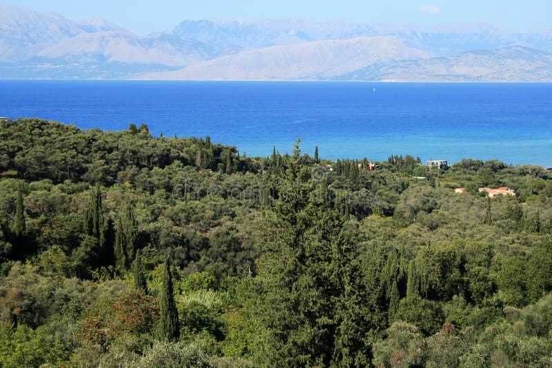 Forest and sea stock photo. Image of green, summer, light - 25760682