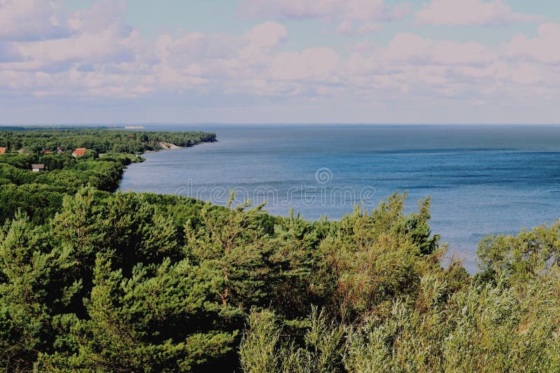 Forest and sea stock photo. Image of forest, coast, cape - 192724842