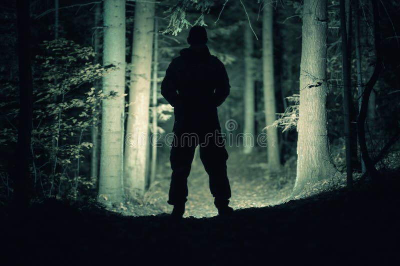 Forest Search Using Powerful Flashlight Stock Photo - Image of ...