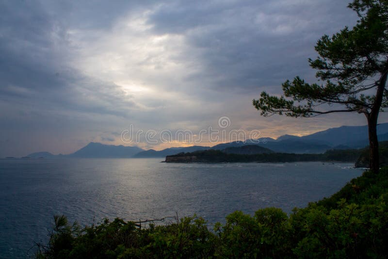 Forest at the seaside stock image. Image of aqua, nature - 214320335