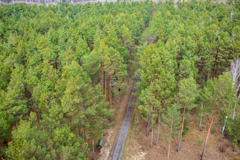 Forest Seen from Above on a Cloudy Day Stock Image - Image of norway ...