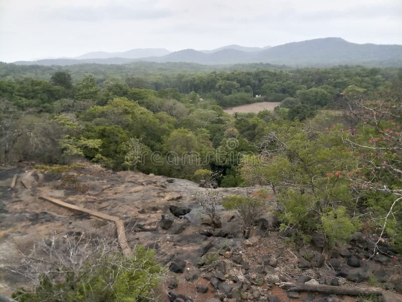 Forest Seen from Viewpoint with Cloudy Sky,distant Mountains in the ...