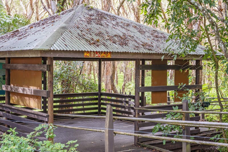 Forest Shade Hut stock image. Image of environment, leaf - 213610645