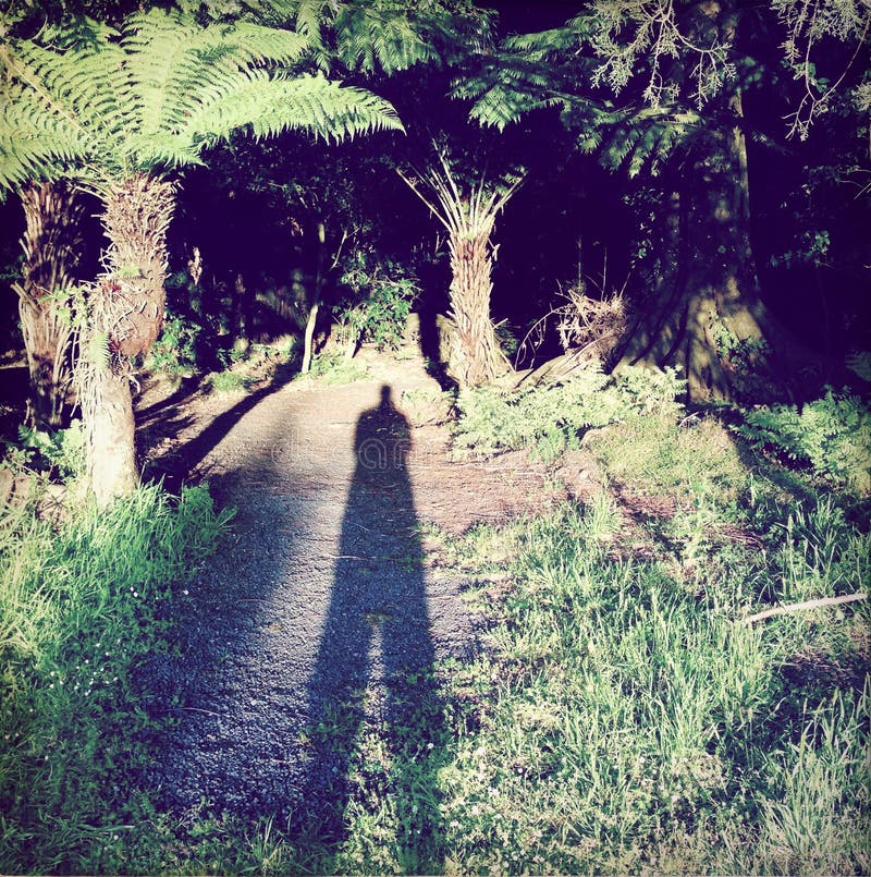 299 Person Cast Shadow Photos - Free & Royalty-Free Stock Photos from ...