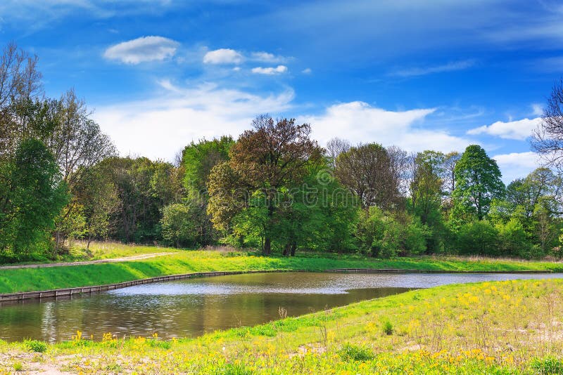 Forest on the Shores of Beautiful Lake Stock Photo - Image of lake ...