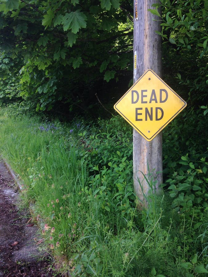 Forest-side Dead End stock image. Image of forest, street - 92845493