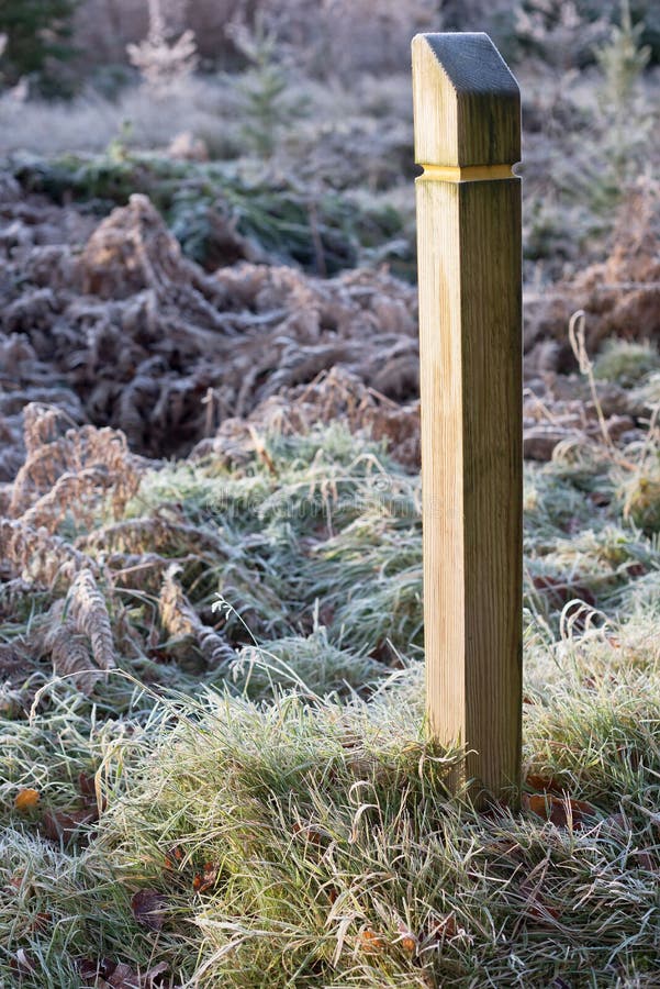 Forest sign post stock image. Image of sign, walk, cold - 95851593