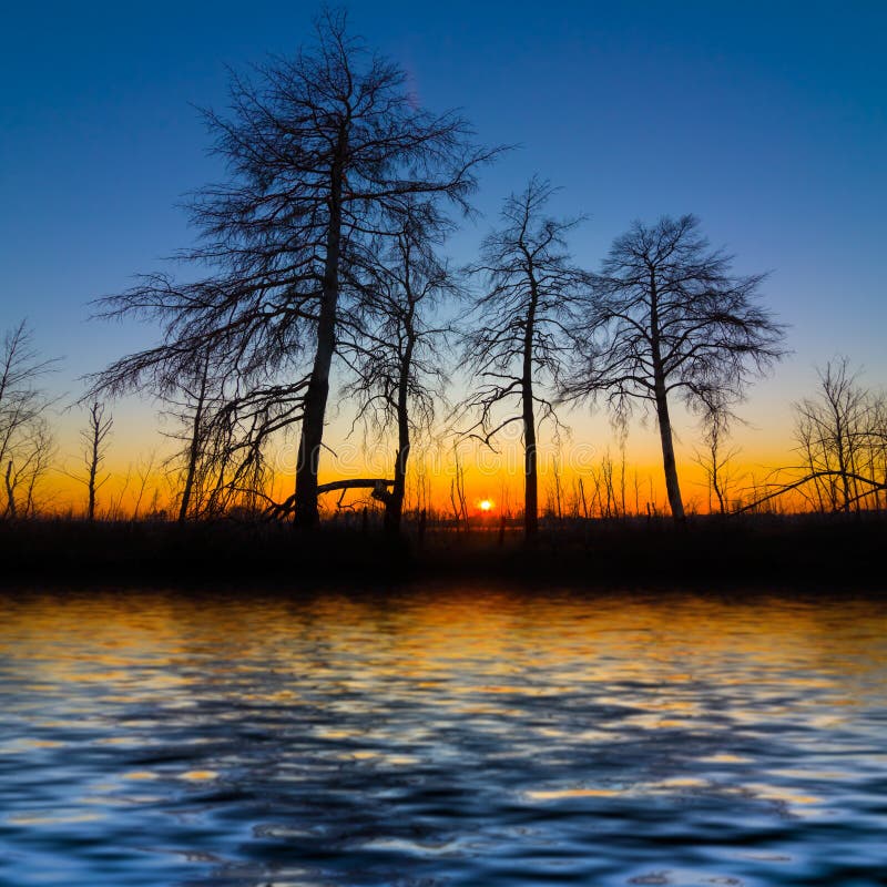 Forest Silhouette Reflected in Calm Lake at the Twilight Stock Image ...