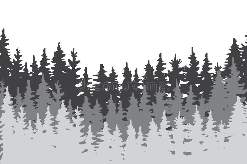 Forest Silhouette Scene. Black Tree Reflection. Layered Pine Forest ...