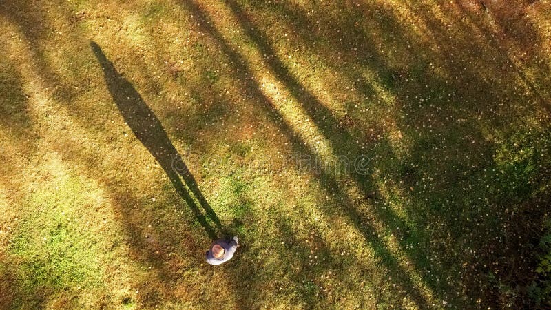 In the Forest Site, a Man from Above in His Shadow, Nature in the ...