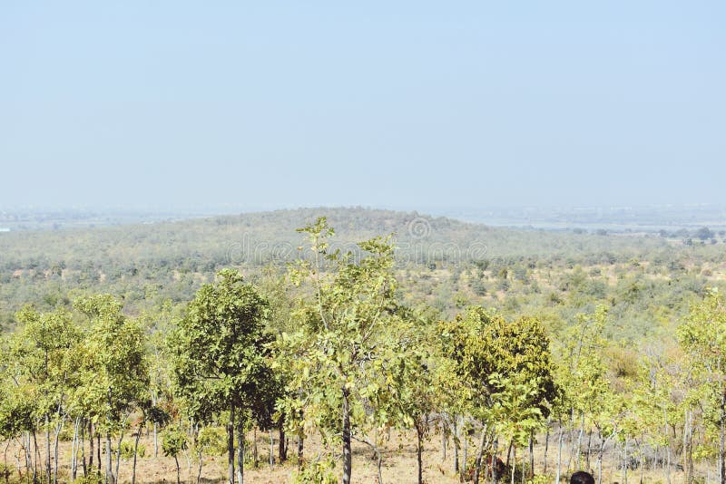 A Forest Situated in Andhra Pradesh at Kurnool District Stock Photo ... A Forest Situated in Andhra Pradesh at Kurnool District Stock Photo ...