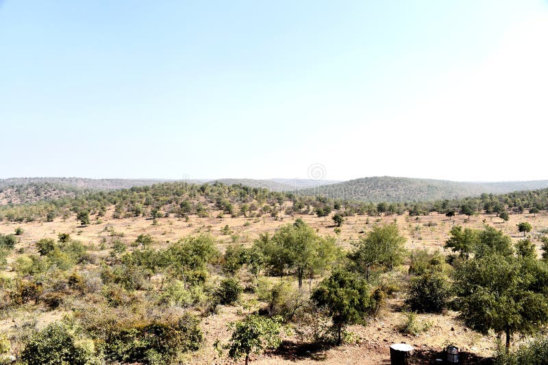 A Forest Situated in Andhra Pradesh at Kurnool District Stock Photo ...