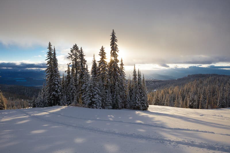 Forest skiing country stock photo. Image of alpine, columbia - 26149048