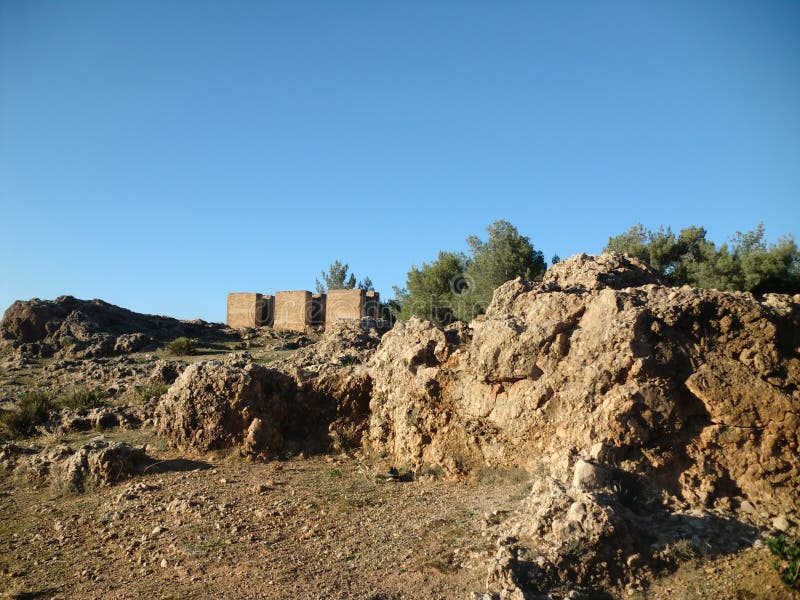 The forest stock image. Image of sefrou, forest, morocco - 166415689