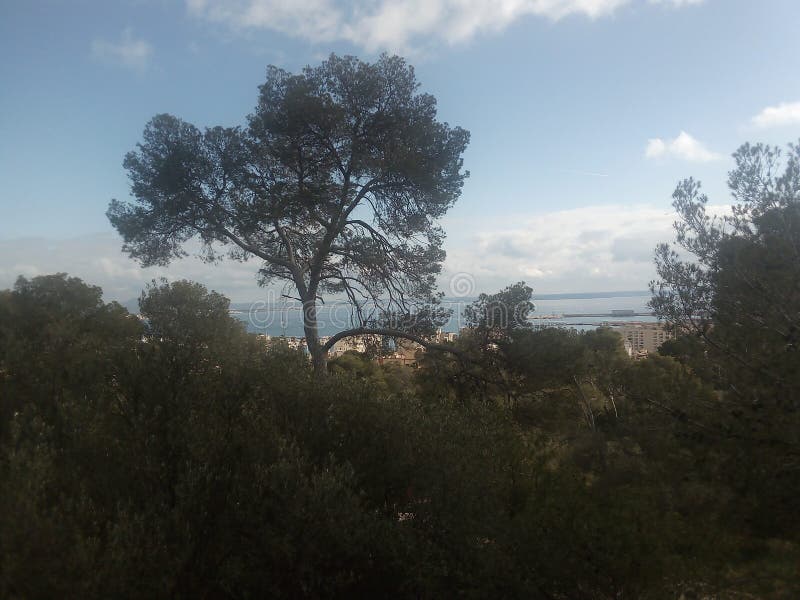 Forest sky sun sea hills stock image. Image of hills - 177658939