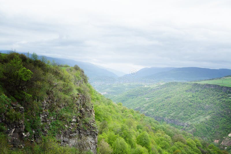Forest on the Slope of the Cliff Stock Image - Image of natural, rugged ...