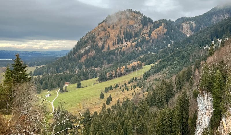 Forest on the Slope of the Mountain. Meadows and Forest on a Mountain ...