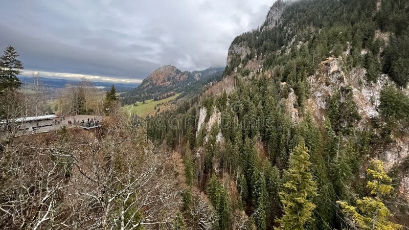 Forest on the Slope of the Mountain. Meadows and Forest on a Mountain ...