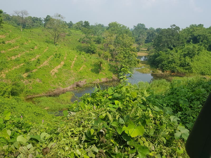 Forest Small lake stock photo. Image of mountain, check - 133682092